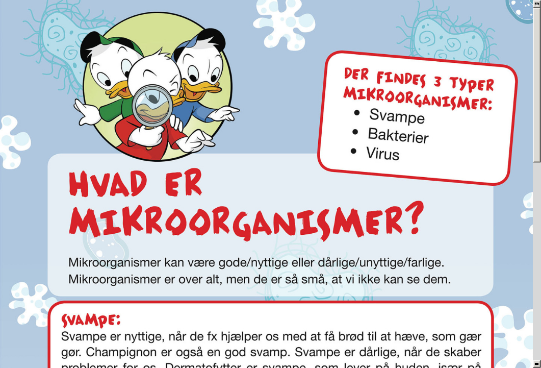 Anders And & Co - anders_and